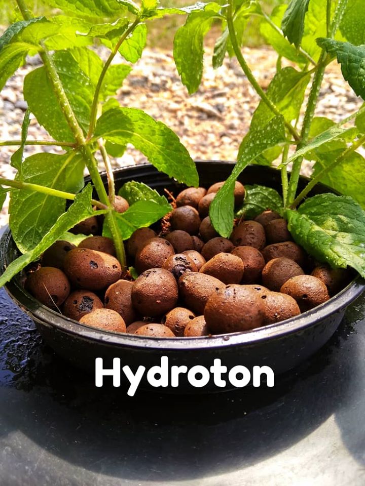 Media Tanaman – Abi Agro